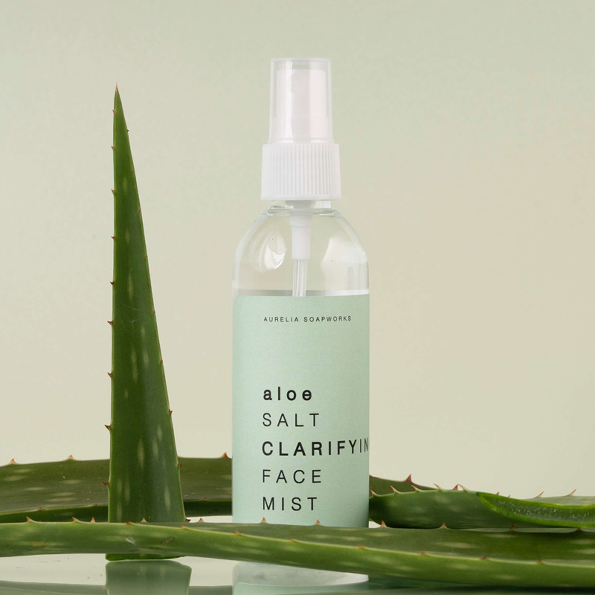 Aloe Salt Clarifying Face Mist 100ml – Basketeer
